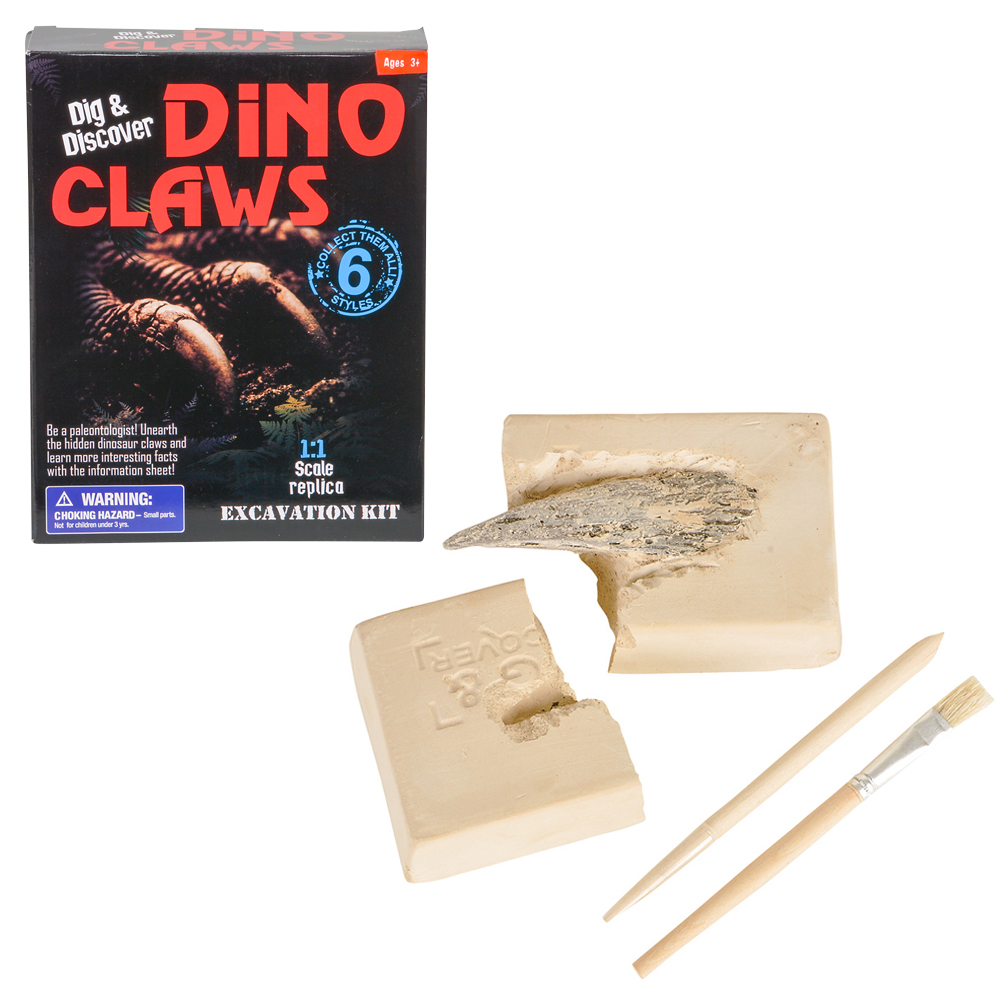 Dinosaur Claw Excavation Kit, The Toy Network